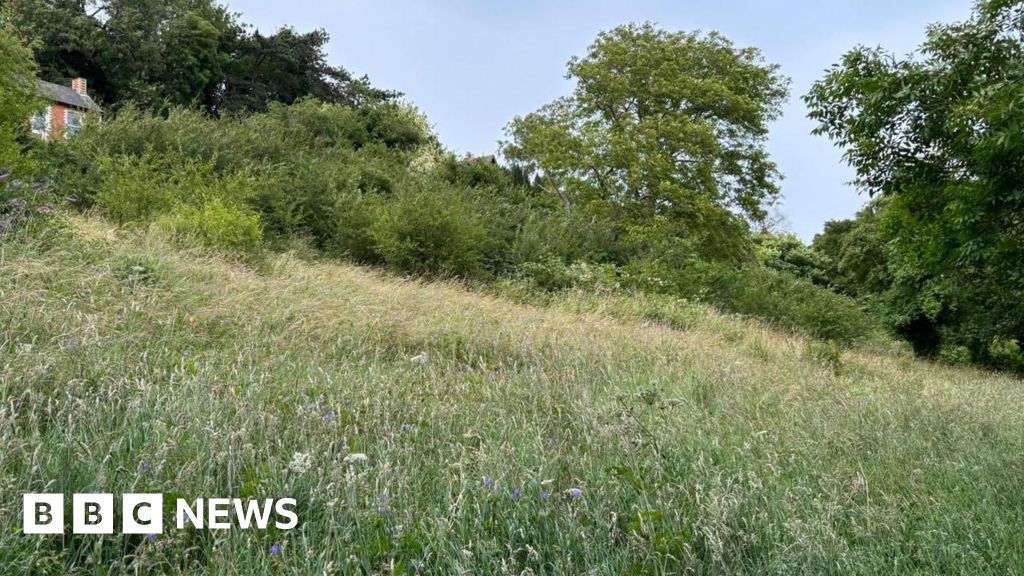 Community to create farm from disused field - BBC News