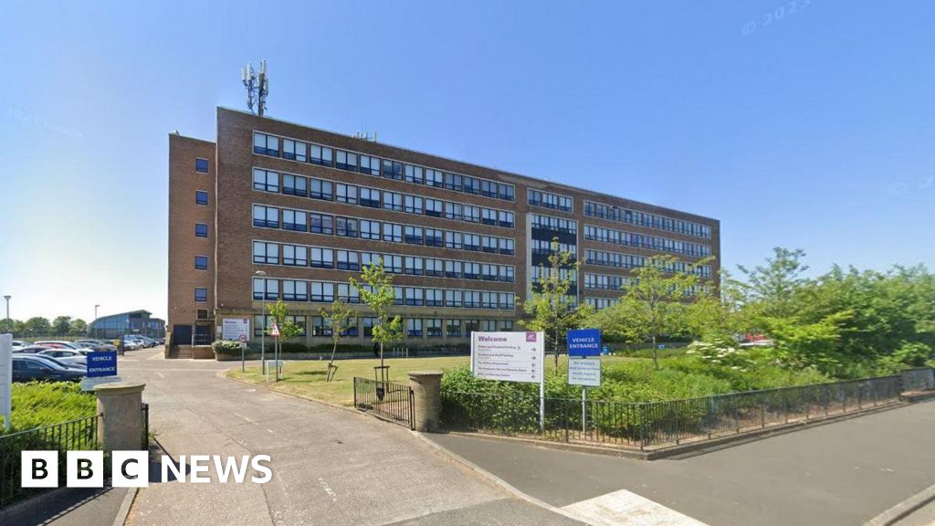 North East college group recognised for work helping refugees - BBC News