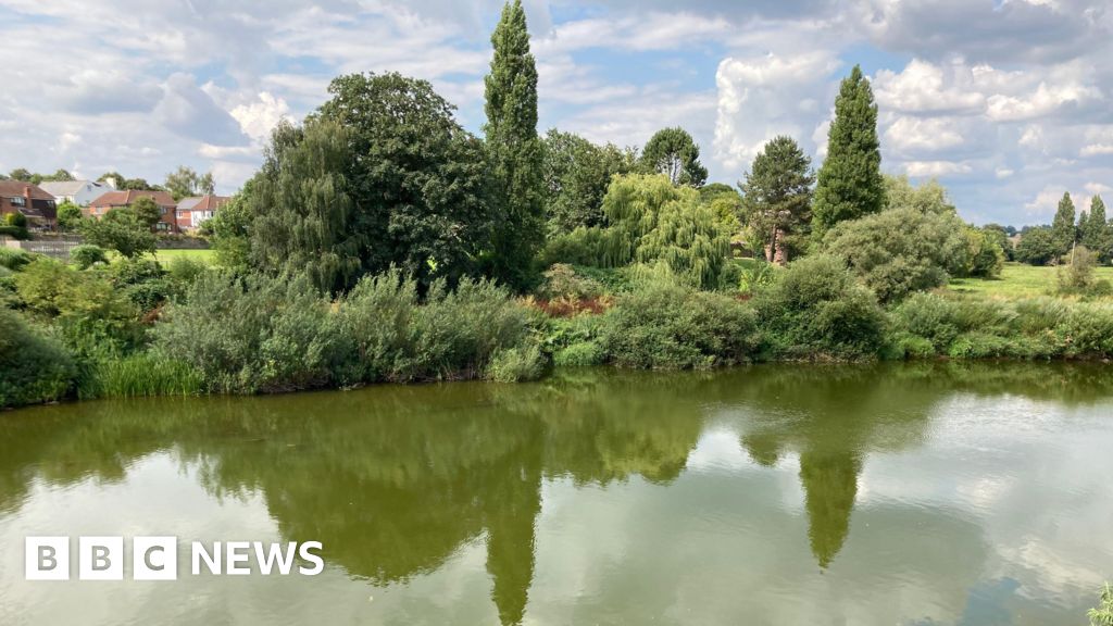 River Wye pollution plan unveiled by environmental activists - BBC News