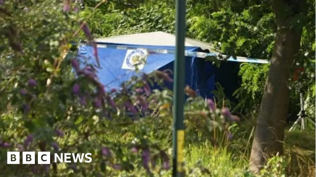 Man denies murder of woman found on Ladywood scrubland - BBC News