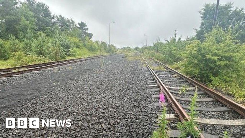 £8m pledged for Washington Metro Leamside Line extension business case ...