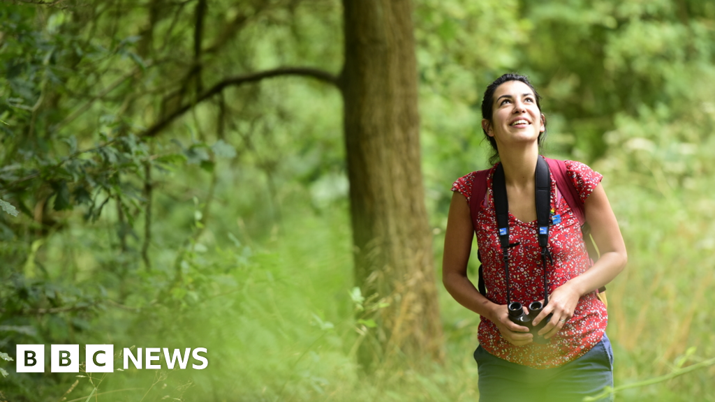 RSPB: Charity to host its first Dorset Bird Festival - BBC News