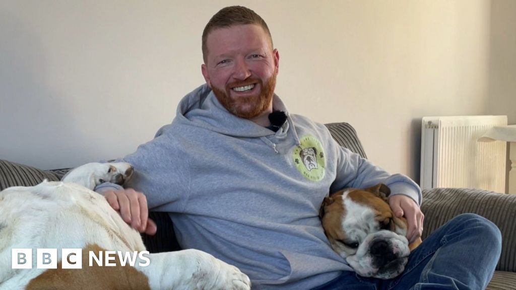 Influencer BulldogPabs uses viral fame to help vulnerable dogs - BBC News