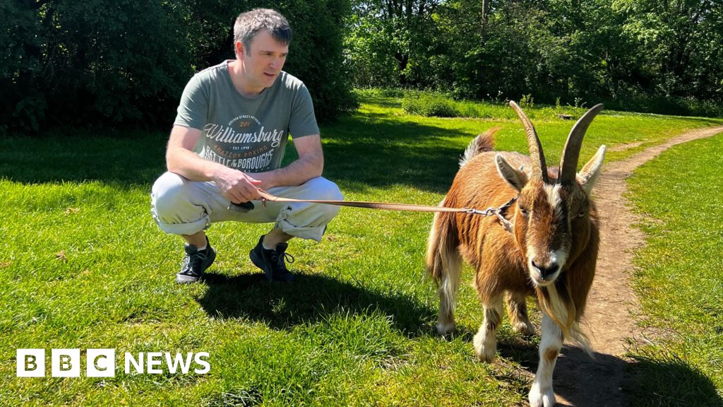 Milton Keynes man who takes goat for walks "amazed" by new fame