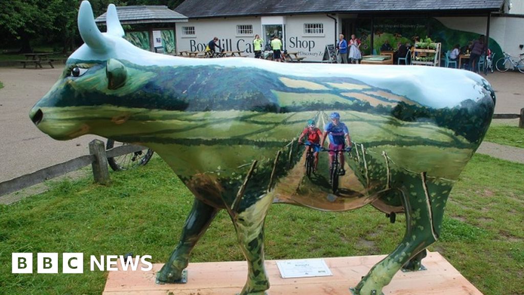 Box Hill painted cow stolen from 2012 Olympics cycling route - BBC News