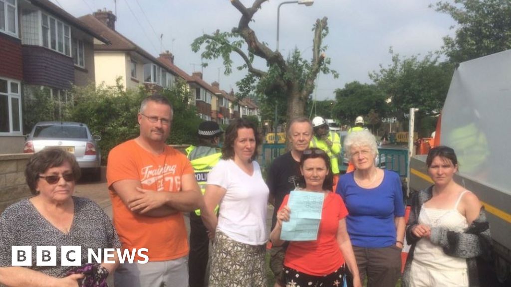 Sheffield tree-felling contractors held up by protest - BBC News