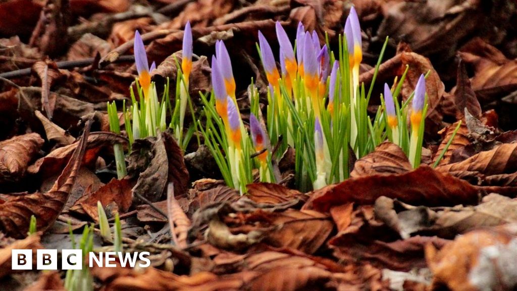 Spring: How do you know when it has sprung?