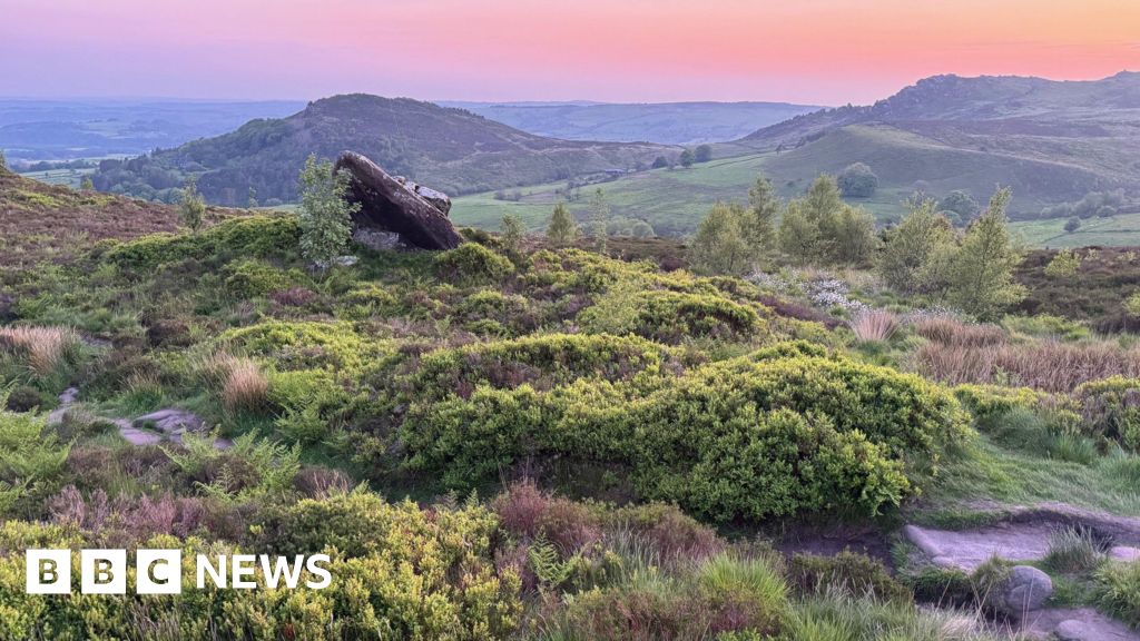 Staffordshire conservation push to find key plants and animals - BBC News