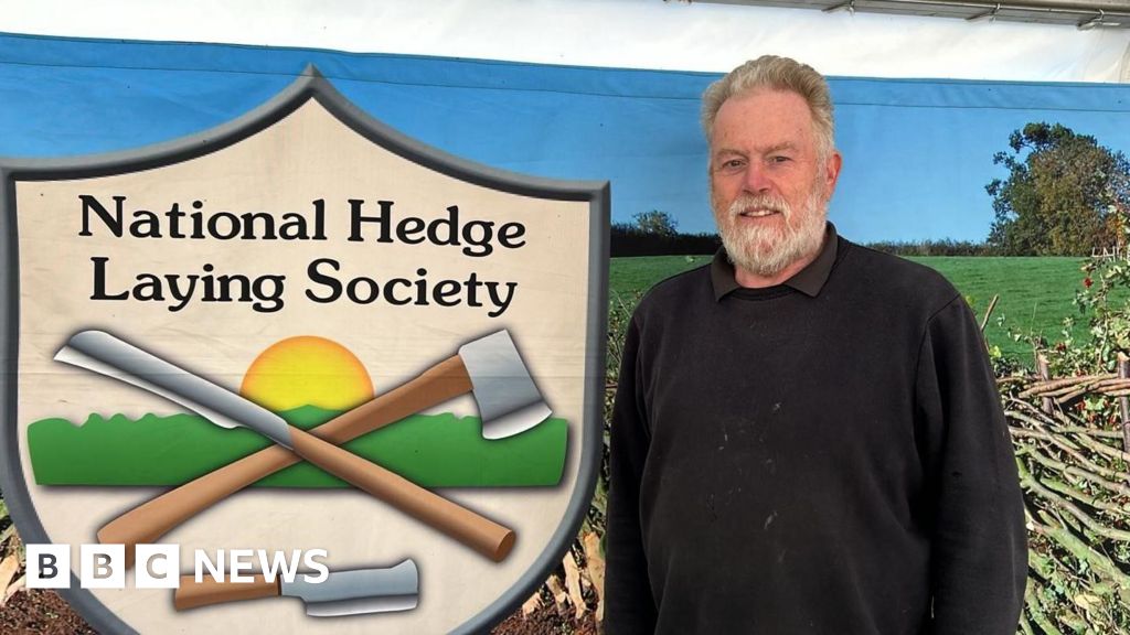 National Hedgelaying Championships to take place near Driffield - BBC News