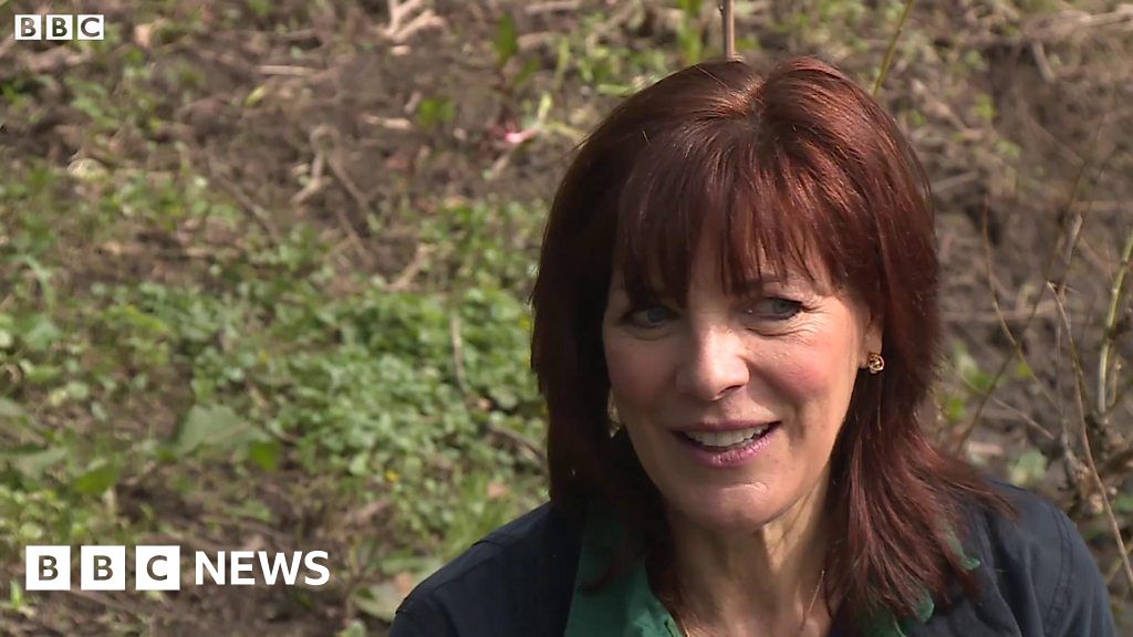 Tyne Tees presenter Pam Royle makes skin cancer plea - BBC News