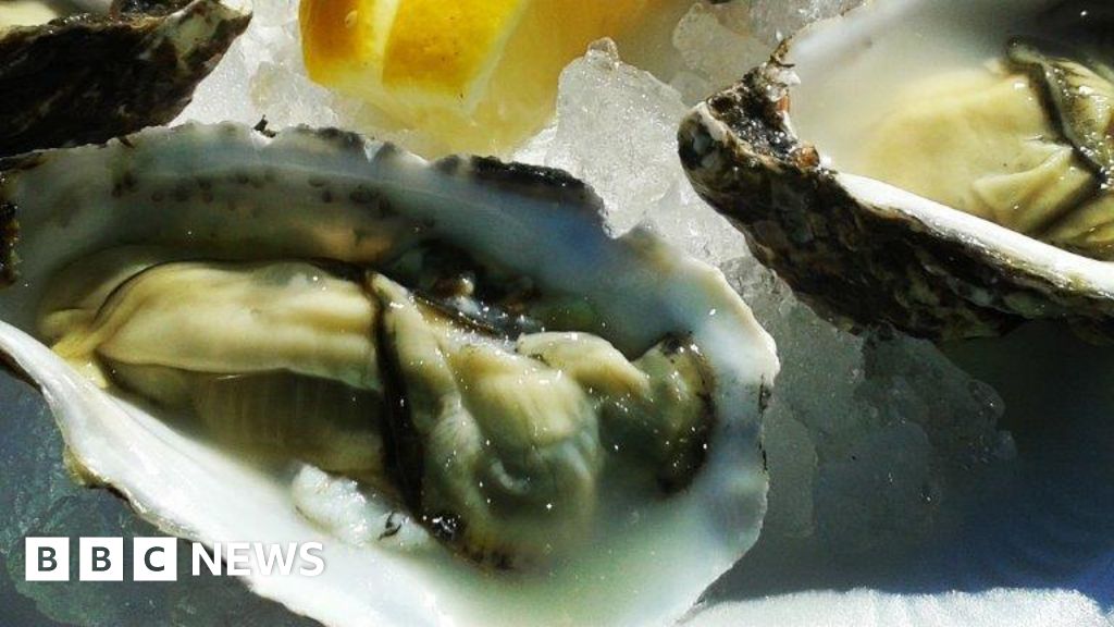 'Historic Colchester Oyster Feast could become elitist' - mayor