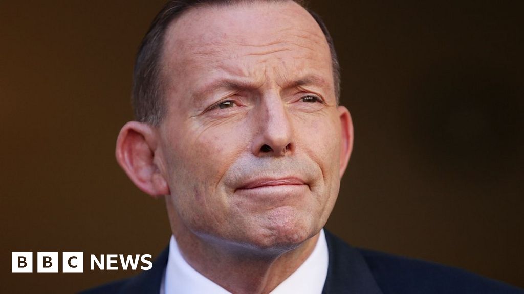 Tony Abbott dismisses book's claims as 'scurrilous gossip' - BBC News