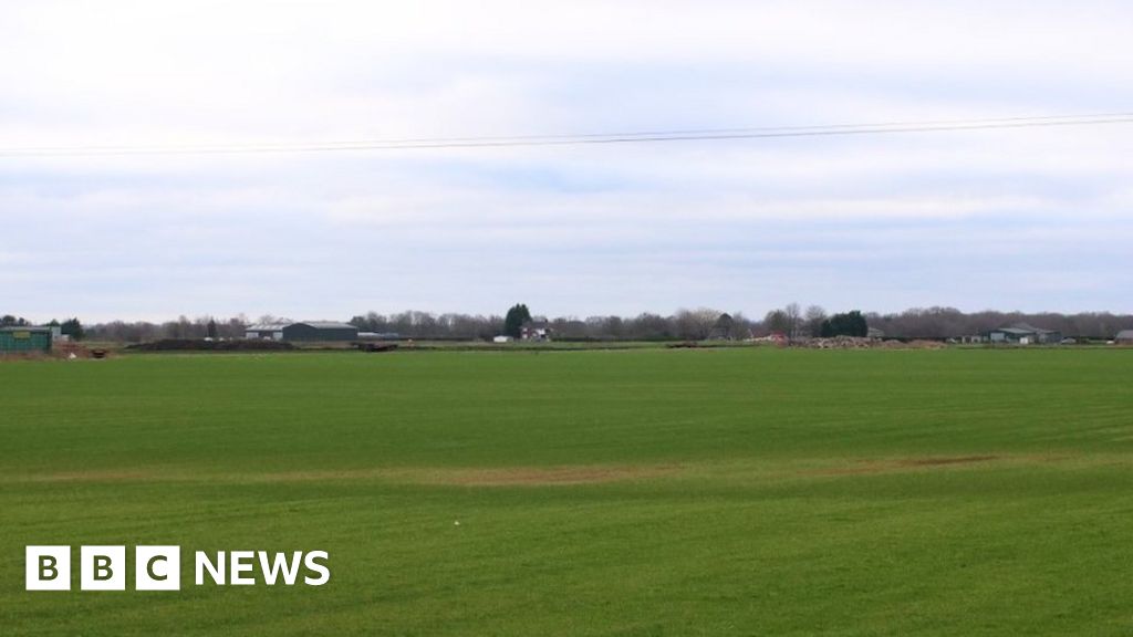 Chat Moss peat bog bought by wildlife trust for restoration - BBC News