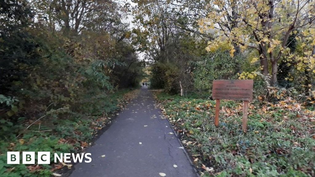 Death of man killed by falling tree was accidental - inquest