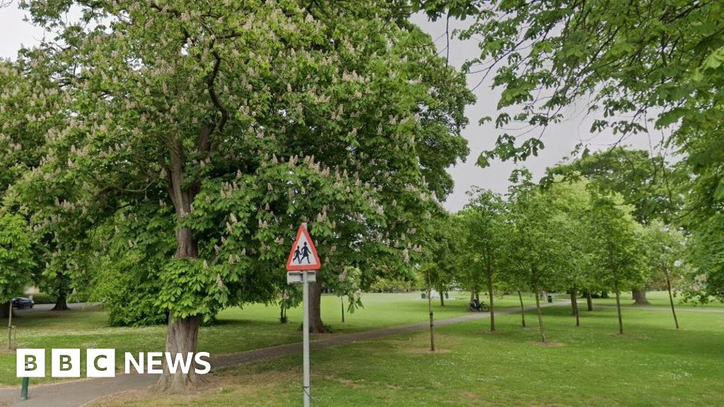 Man arrested in connection with sexual assault in Hull park - BBC News