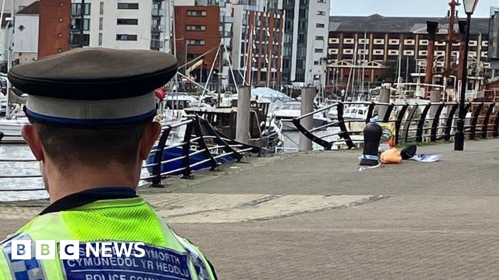 Swansea Marina Man Dies After Car Plunges Into Water