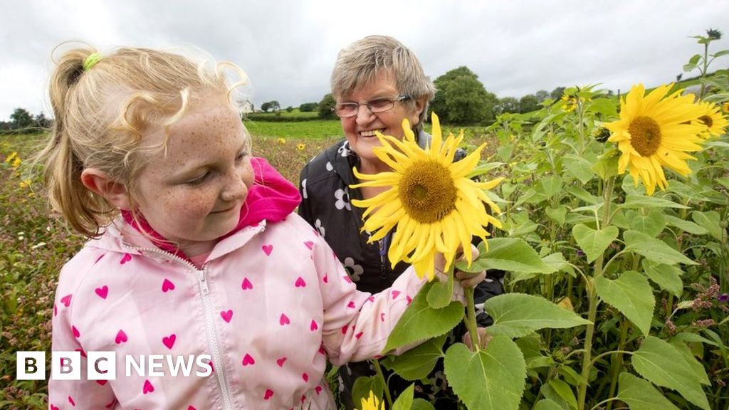 In pictures: Blooming Britain