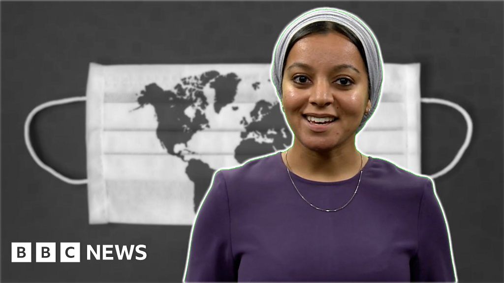 US election: What can the US learn from other pandemic elections?