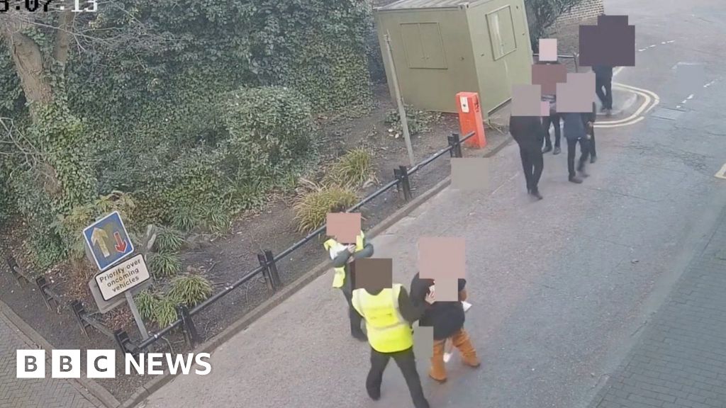 Knowsley: Assault probe after council squirrel protest - BBC News