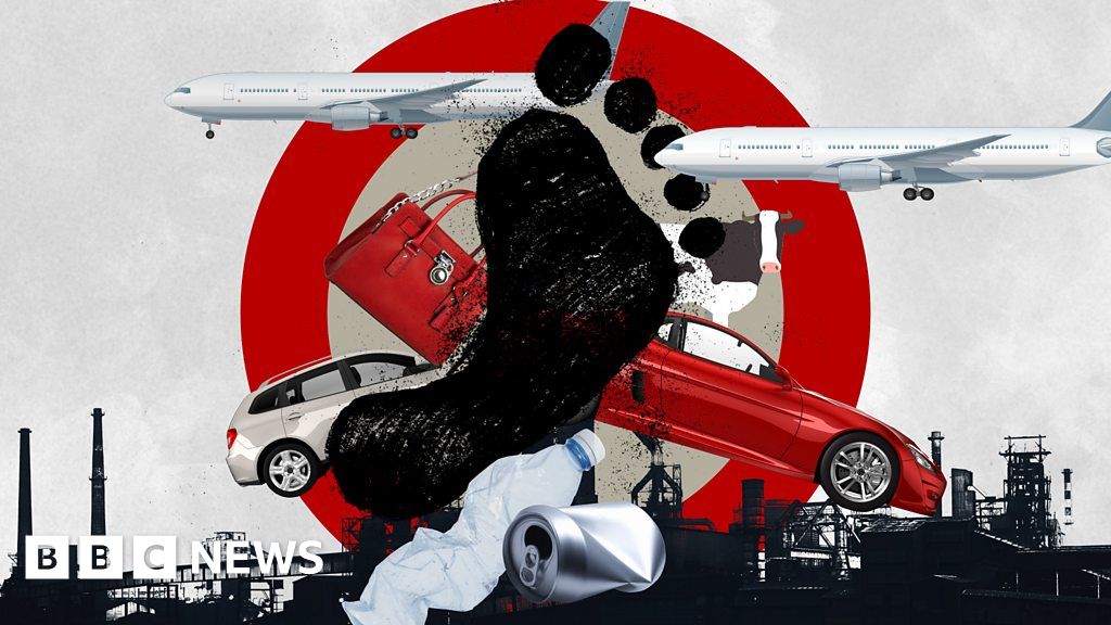 Climate Basics: Your carbon footprint explained