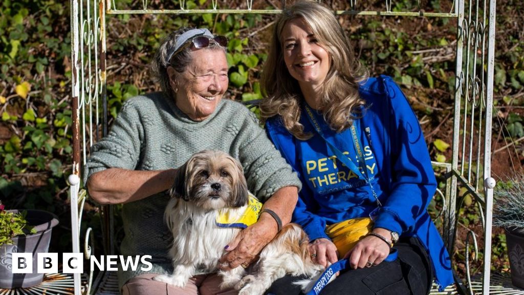 Rescued pup starts new life as therapy dog in Burton upon Trent - BBC News