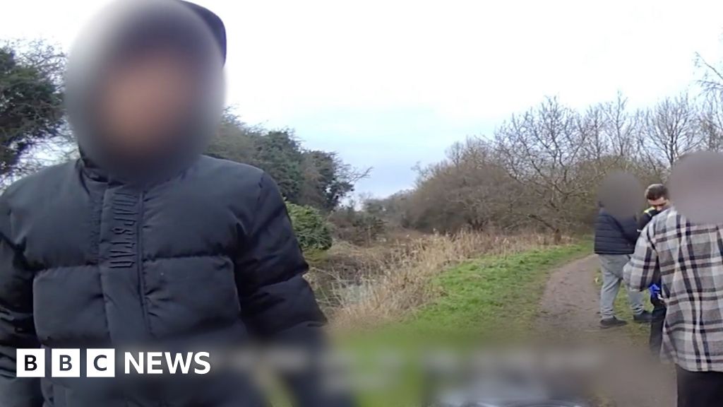 Teen admits murdering schoolboy, 12, on walk home - BBC News