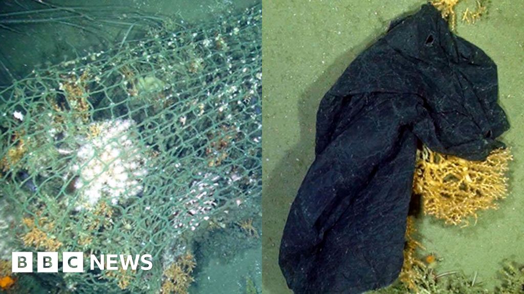 'Shocking level' of litter on sea corals off Scotland - BBC News