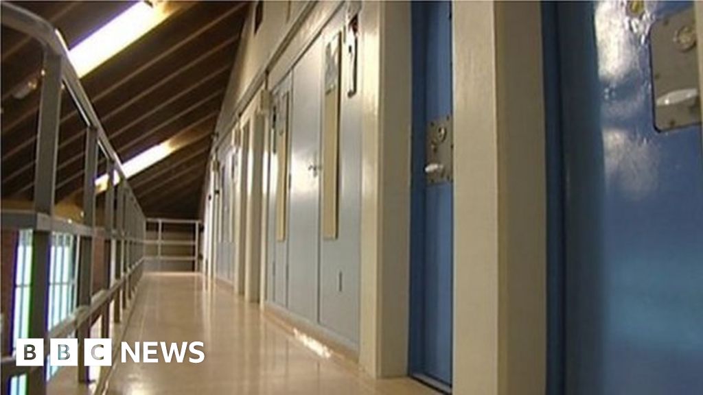 Feltham boy's solitary confinement breached human rights