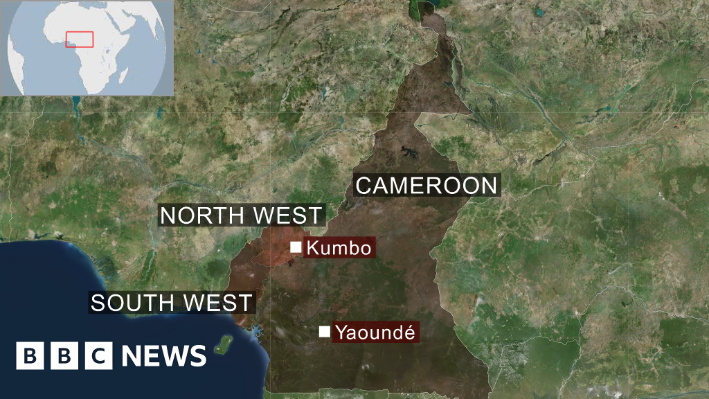 Cameroon kidnap: 170 students freed