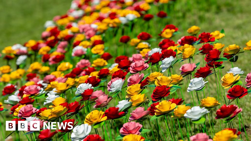 Recycled rose installation opens at Swindon hospice - BBC News