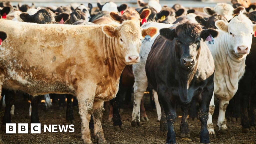 The Hidden Risk: Chronic Inflammation and the Rise of Early Colon ...