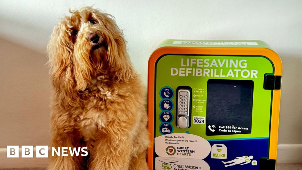 Dog helping to saves lives as a defib mascot in Weston-super-Mare - BBC ...