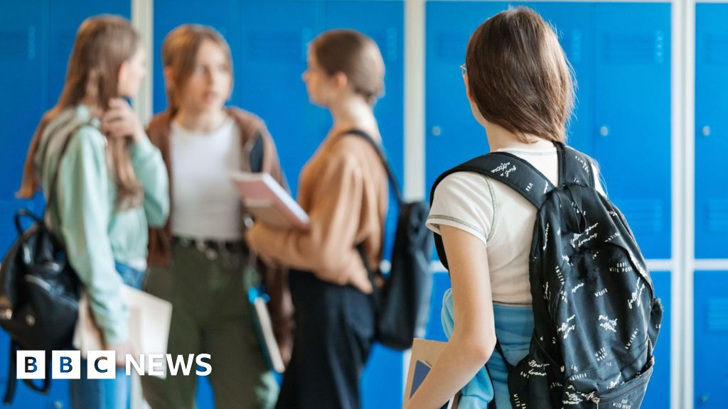 Council rapped after school bullying 'whitewash' claim