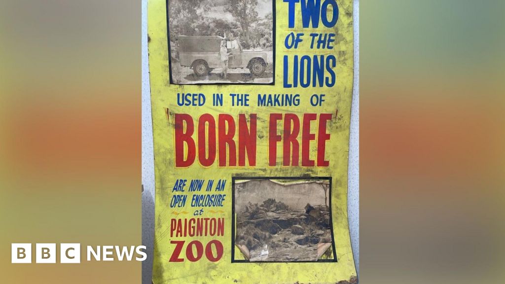 Born Free poster found during Paignton cinema work