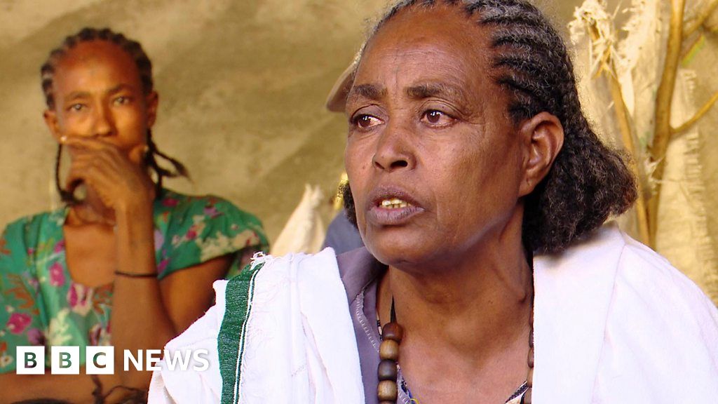 Ethiopia's Tigray crisis: 'We are lucky we are not dead'