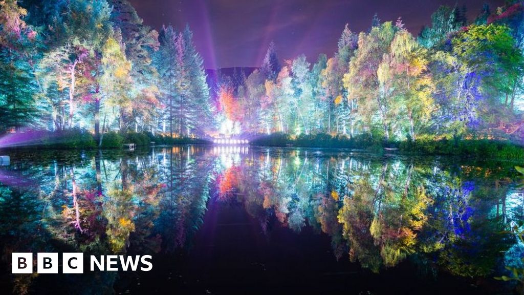In Pictures: Enchanted Forest light show opens to public - BBC News