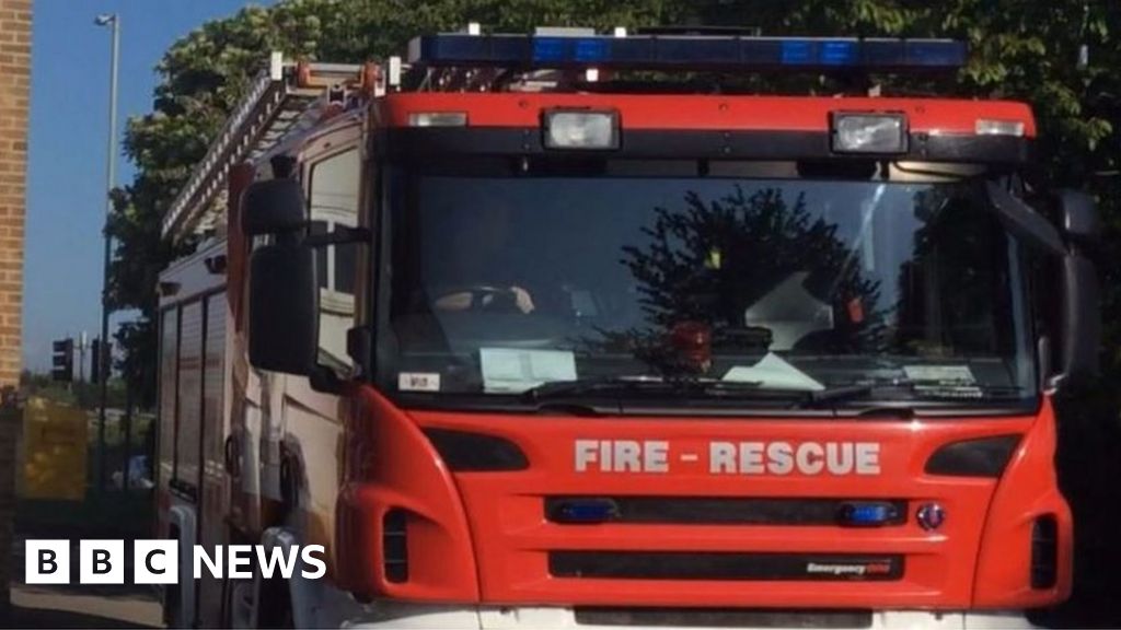 Dog sniffing out bin on hob in Oxfordshire home starts fire - BBC News