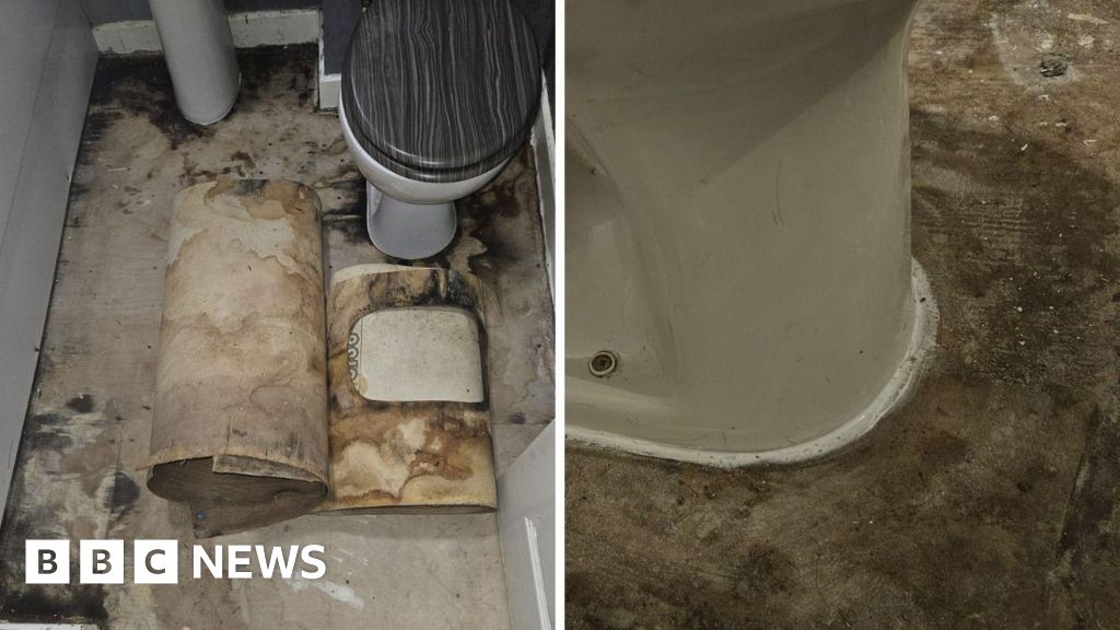 'Putrefying smell' in Wiltshire housing association home