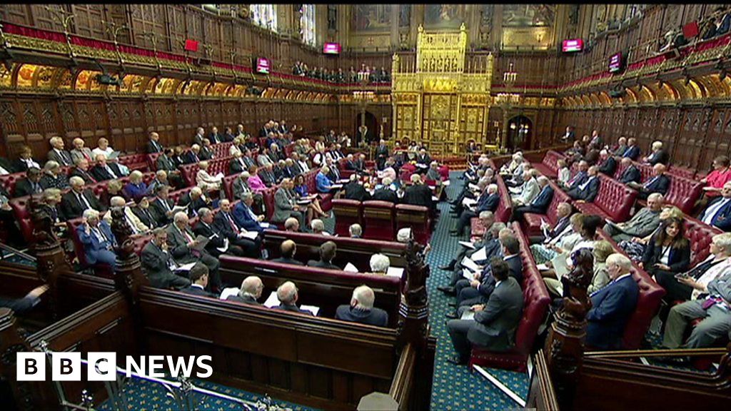 Lords cheer for Baroness Hayter - BBC News