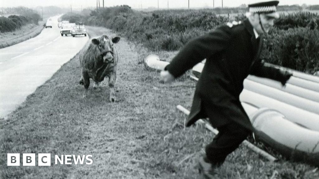 Digital archive of Cornish life opens online - BBC News