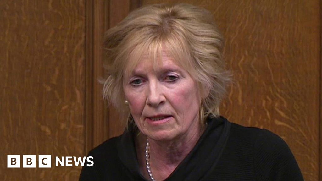 Lady Hermon wants 'clear guarantee' on Brexit deal - BBC News