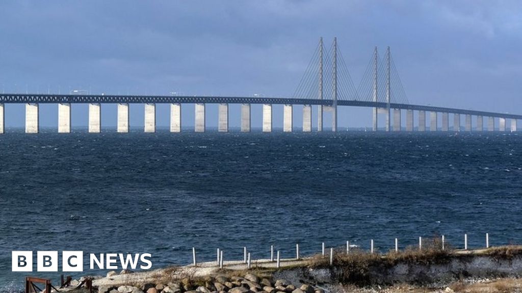 Border controls on 'The Bridge' between Sweden and Denmark - BBC News
