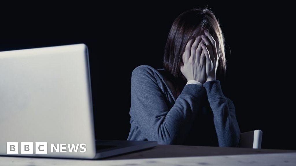Online trolling putting women off politics, says union - BBC News