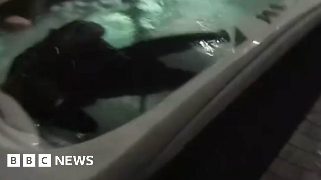 Bubble bursts for Doncaster burglars found hiding in hot tub