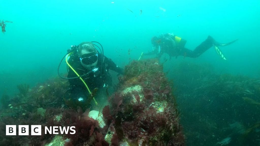 Wounded veterans explore 1906 shipwreck off north Devon coast