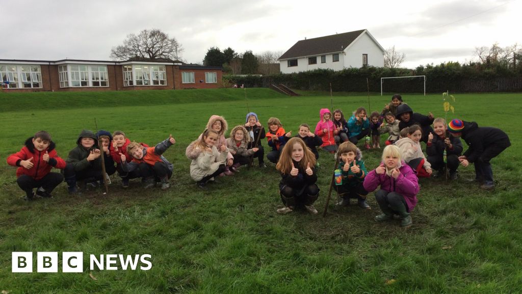 Fruit trees: Small orchards at schools to be used for learning - BBC News