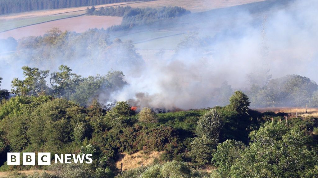 Man arrested over Dalbeattie woodland blaze - BBC News