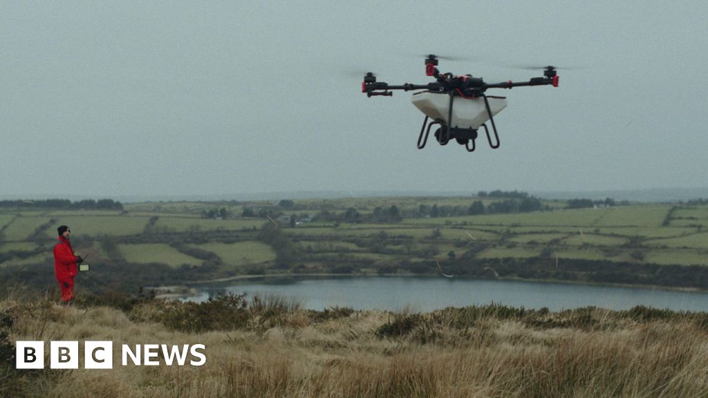 Drones sow tree seeds in Devon and Cornwall rainforest project