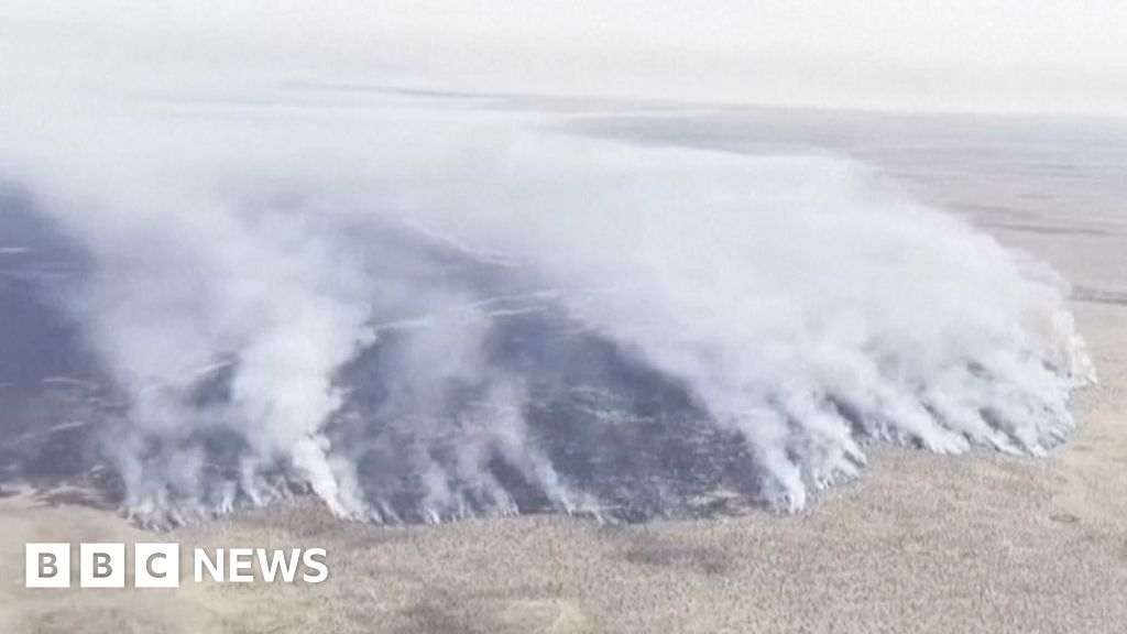Namibia fires: Army sent into Etosha National Park