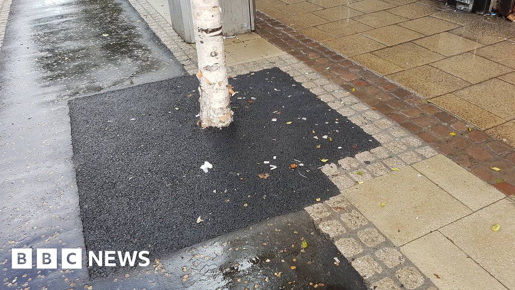 Norwich cycle path 'inept design' tree pits filled in after complaints